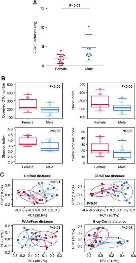 Sex Based Differences In Permeability Of Distal Small Intestine Colon Download Scientific