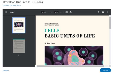 How To Embed PDF Spreadsheet And Others In WordPress Blog Posts