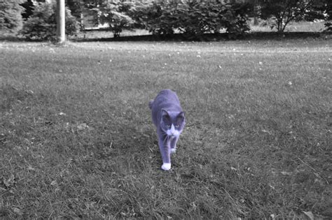 Bwc Bret Klassen Flickr