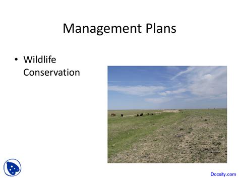 Wildlife Conservation Introduction To Conservation Biology Lecture Slides Docsity