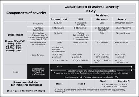 The Abcs Of Asthma Control Mayo Clinic Proceedings