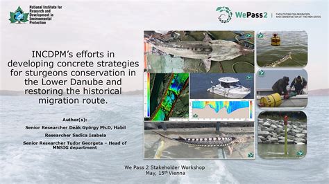 Incdpms Efforts In Developing Concrete Strategies For Sturgeons
