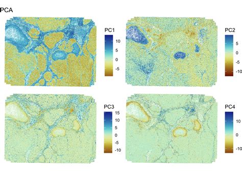 Github Elena983 Merscope Spatial Analysis Spatial Analysis Merscope Example Data