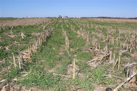 Usda Nass Survey Results Release Illinois Nutrient Research