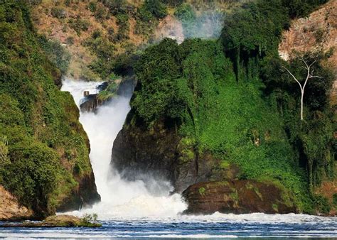Ugandas 10 National Parks And 4 Wildlife Game Reserves Travelers Guide