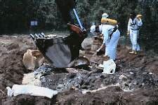 Excavation Of Drums At Cryovac