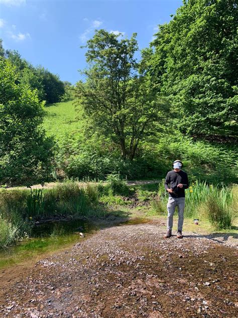 Tiny Leaves Announces New Album Mynd • Withguitars