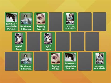 Ragdoll History Parejas