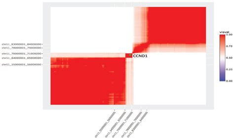 Ccnd1 A Focally Amplified Cell Cycle Regulator Is Located Within A