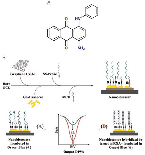 Current Perspectives In Graphene Oxide Based Electrochemical Biosensors For Cancer Diagnostics Pmc