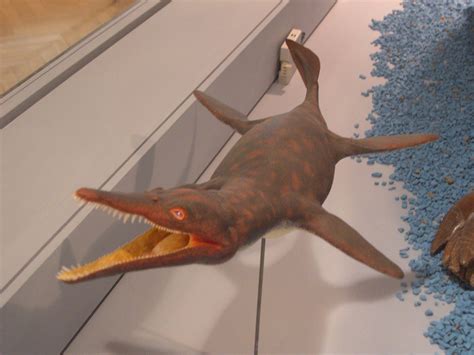 Pliosaurus Plesiosaur Directory