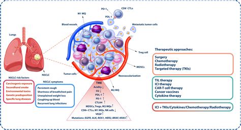 Nsclc Lung Cancer New Treatment Options For Patients With