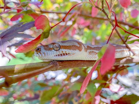 New Addition 2018 Hypo Bredli Page 3