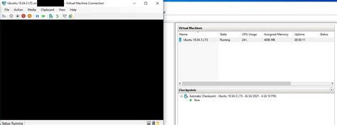 virtualbox ubuntu 3d acceleration black screen baredenis