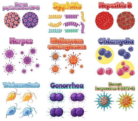 Colección De Bacterias Gérmenes Y Virus Vector Gratis