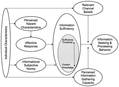 Risk Information Seeking And Processing Model Adapted From 6