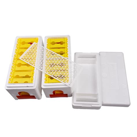 Benefitbee Brand Multi Functional Queen Bee Hive P Vicedeal