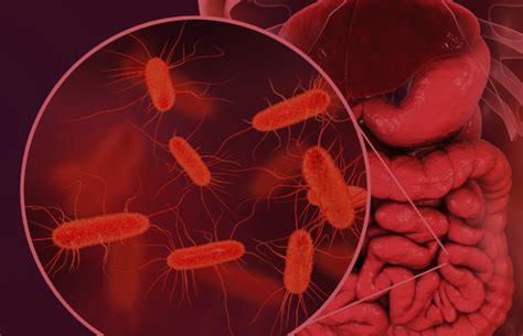 Human Microbiome Analysis Profile Microbial Communities With Ngs