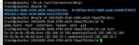 openstack核心组件 neutron 理论 ppikachup的博客 csdn博客