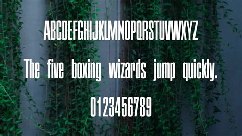 Executive Font Fonts Studio