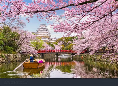 The Best Time To Visit Japan For A Cherry Blossom Tour