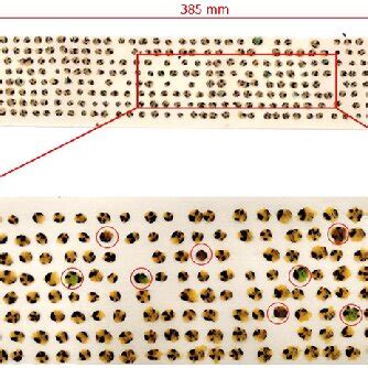 An Example Of An Image Present In The Dataset Used For Training The Download Scientific
