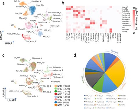 Integration Of Single Nuclei Rna Sequencing Spatial Transcriptomics