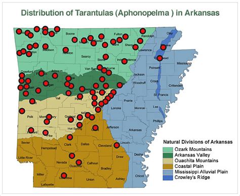 Tarantula Distribution Encyclopedia Of Arkansas