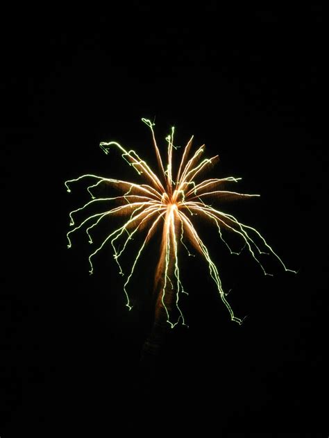 Crystal Coast Gardener Guess Who Found The Fireworks Function On Her