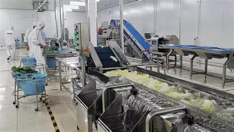 第三方中央厨房正在兴起！净菜加工发展前景好吗？ 白皮书 餐饮业 厨房 新浪新闻