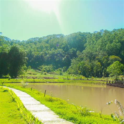 Laan Dalat Prices And Villa Reviews Da Lat Vietnam