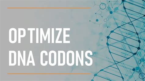 Key Sequences To Filter Out For Effective Dna Codon Optimization
