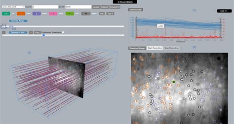Evl V NeuroStack Open Source 3D Time Stack Software For Identifying