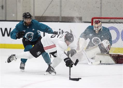 San Jose Sharks Roster 2022