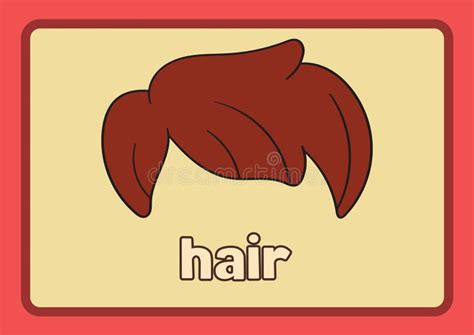 Red And Yellow Hand Drawn Body Parts Flashcard 13 Stock Illustration