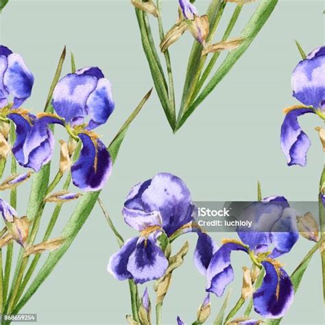 Latar Belakang Bunga Iris Pola Mulus Untuk Kain Ilustrasi Stok Unduh