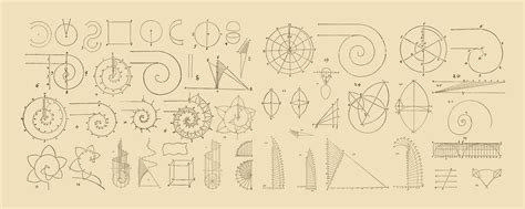 Squaring The Circle Vector Assets On Behance