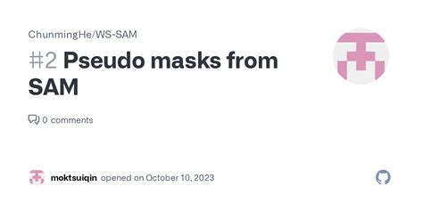 Pseudo Masks From SAM Issue ChunmingHe WS SAM GitHub