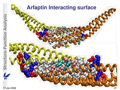 Ppt Dna Protein Structure Function Analysis And Prediction Powerpoint Presentation Id 2962113