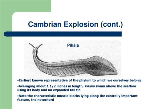 Ppt Origin Of Species Powerpoint Presentation Free Download Id 529168