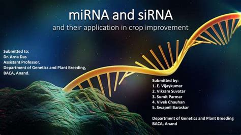 Mirna And Sirna Rnai Pptx