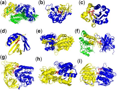 Cryptic Pockets In Proteins Where The Binding Ligands Are Shown In Red