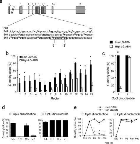 Maternal Inheritance Semantic Scholar