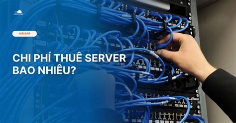 Server Là Gì Phân Biệt Và Tìm Hiểu Các Loại Server Hiện Nay