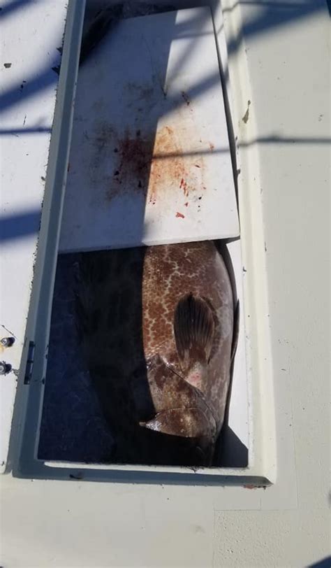 Captain Hunter Lafever