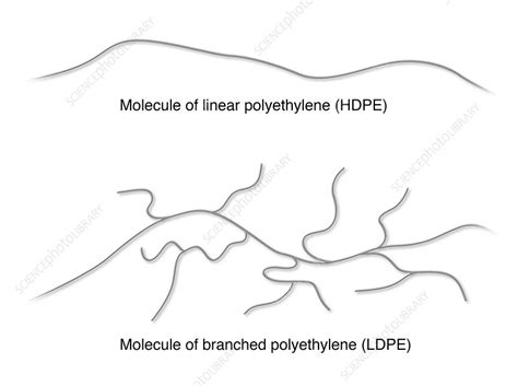 Branched And Linear Polyethylene Stock Image C026 2851 Science