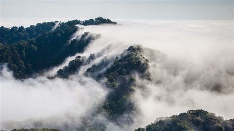 Bosque Oculto En México Destinos Secretos Para Perderse Entre Niebla