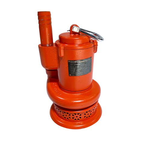 Pneumatic Sump Pump Lancyland