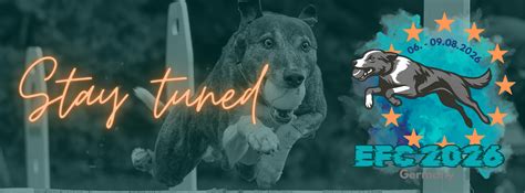 Efc 2026 European Flyball Championship Emtmannsberg