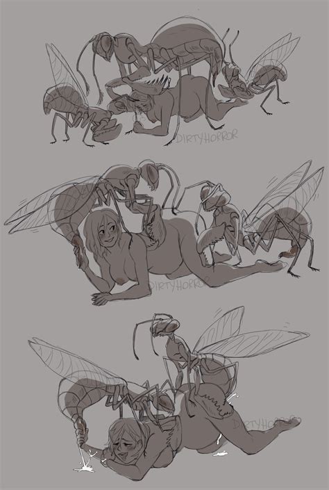 Rule 34 4 Legs Antennae Anatomy Arthropod Arthropod Abdomen